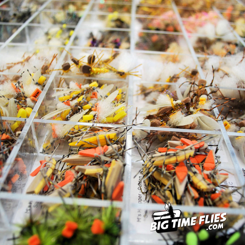 Blog_New-Flies_83c5b444-4e4e-49b4-9157-7d69a43016cd_800x.jpg?v=1742428238