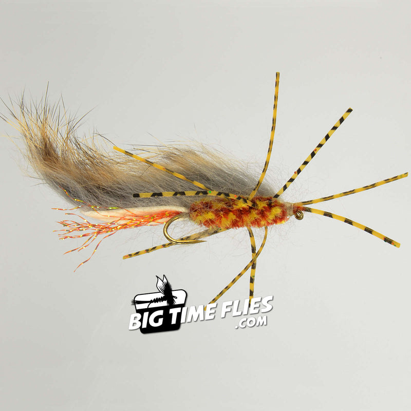 zirdle-bug-natural-3_800x.jpg?v=1754179942