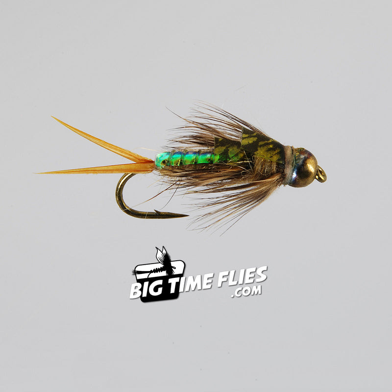 Tungstone Golden | BigTimeFlies
