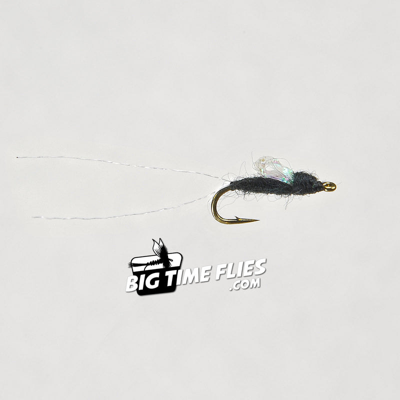 Sparkle Wing RS2 - Black – BigTimeFlies