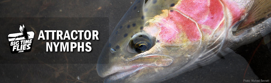 Attractor Nymphs | BigTimeFlies