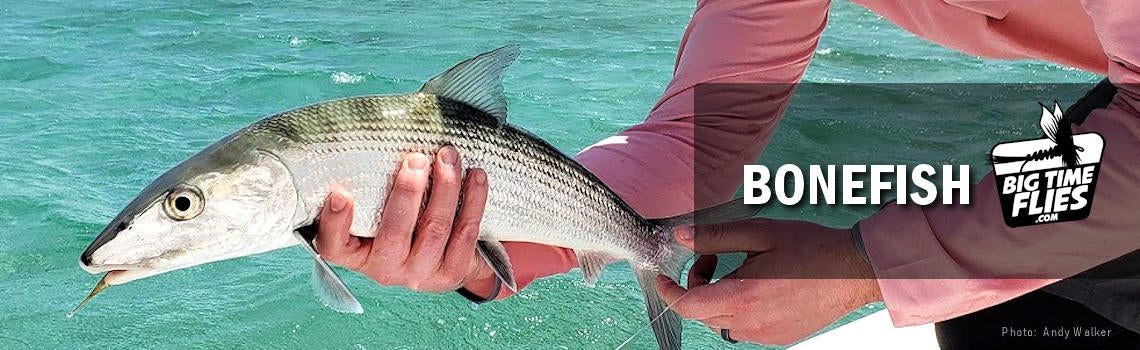 Bonefish Flies | BigTimeFlies