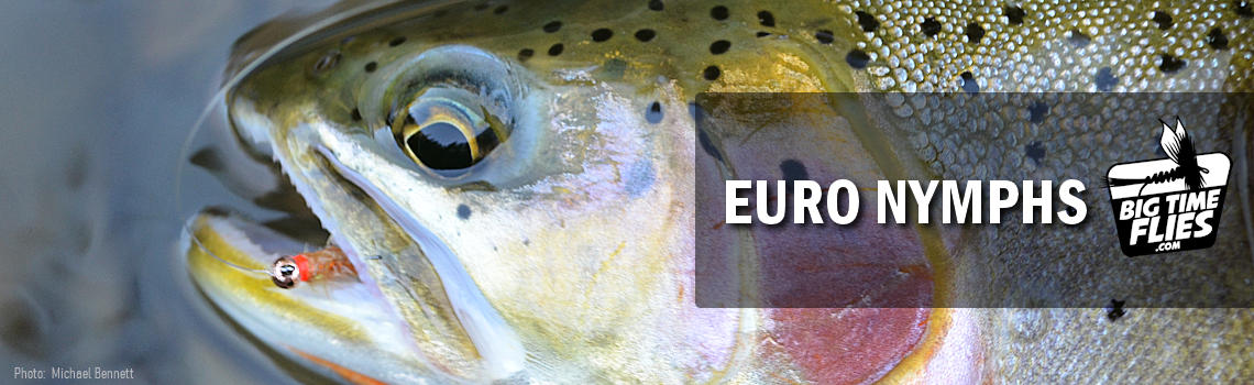 Home Euro Nymph