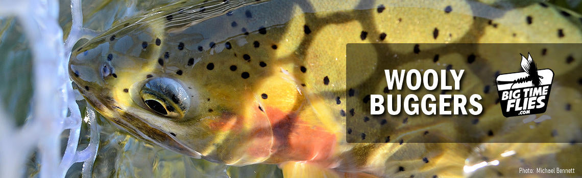 Wooly Buggers | BigTimeFlies
